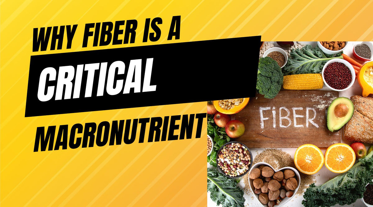 Why Fiber Is Critical For Your Overall Health And Longevity – Simply ...