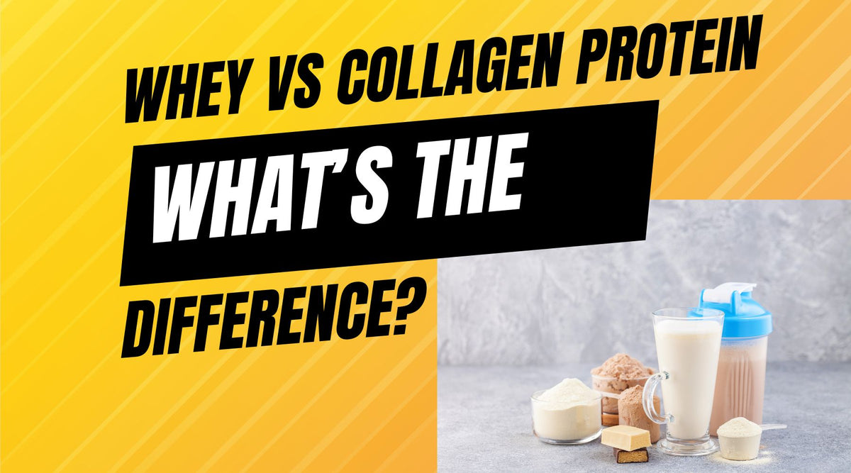 Collagen Protein vs Whey Protein: Key Differences – Simply Good Supplements