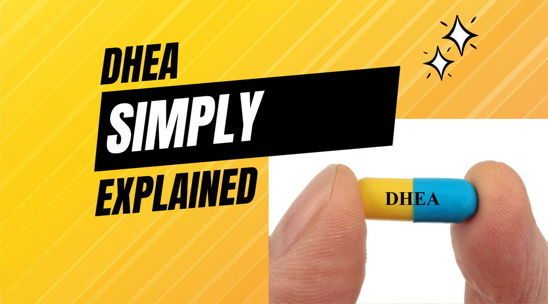 DHEA Simply Explained – Simply Good Supplements