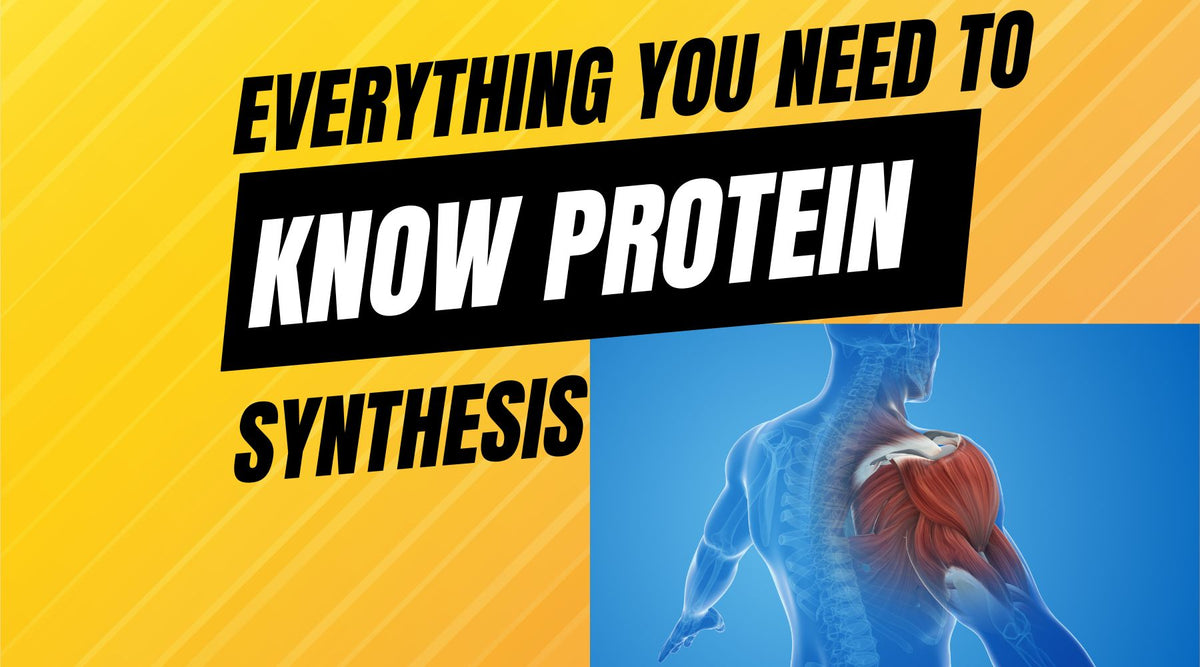 Muscle Protein Synthesis: Everything You Need To Know – Simply Good ...