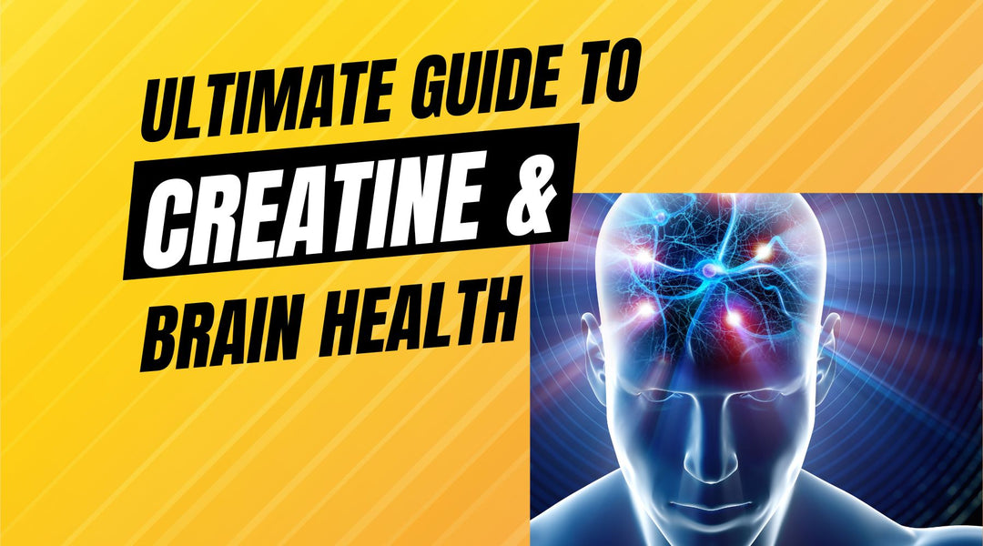 The Ultimate Guide to Creatine and Brain Health – Simply Good Supplements